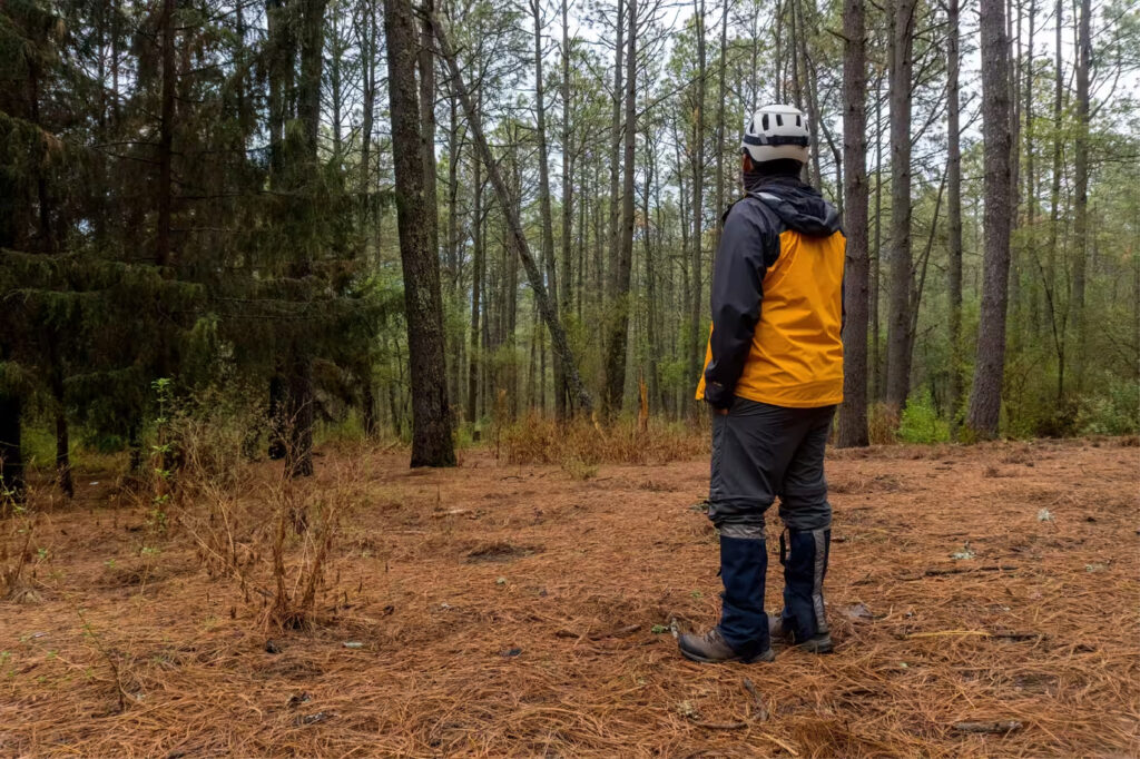 Workforce - BC First Nations Forestry Council